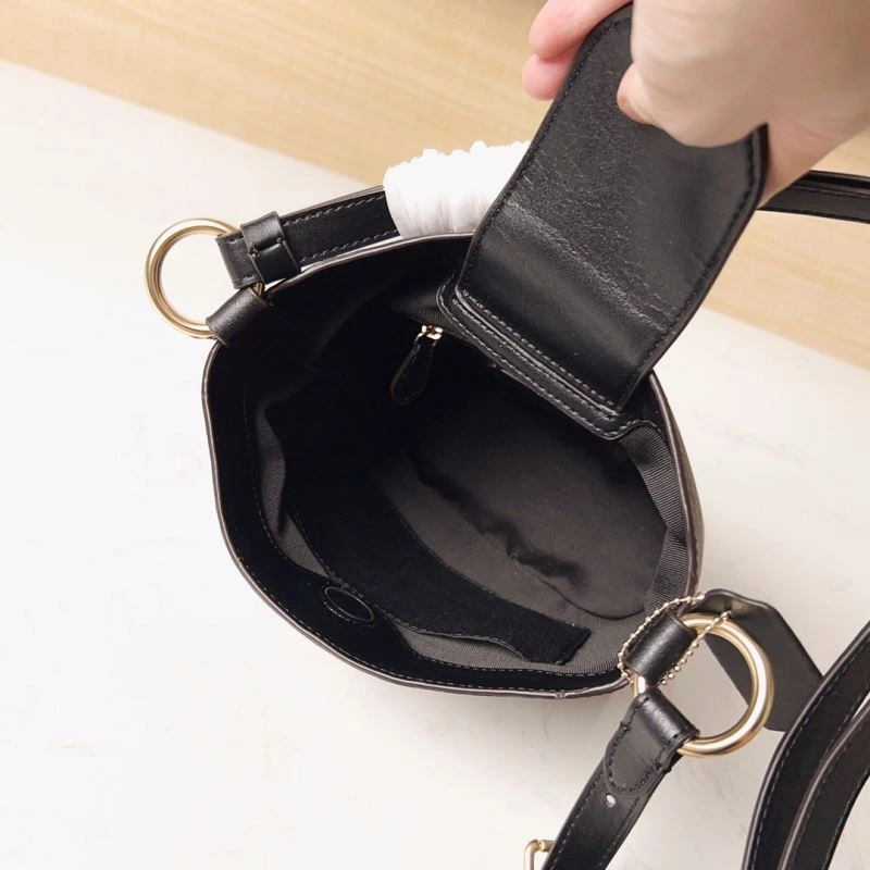 Top mirror Coach Bucket Bags