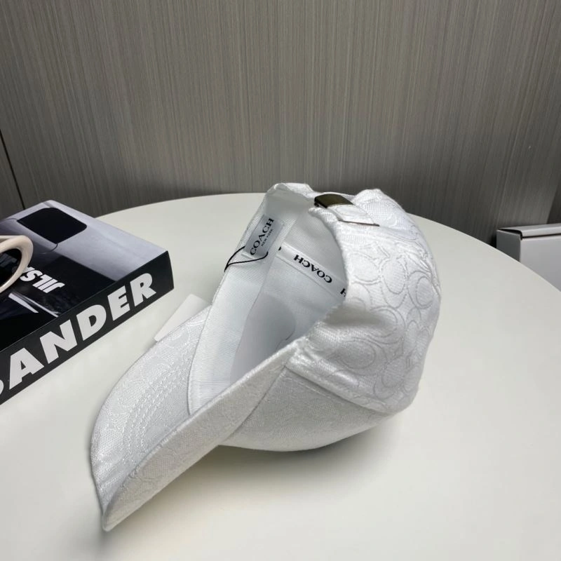 1:1 copy Coach Caps