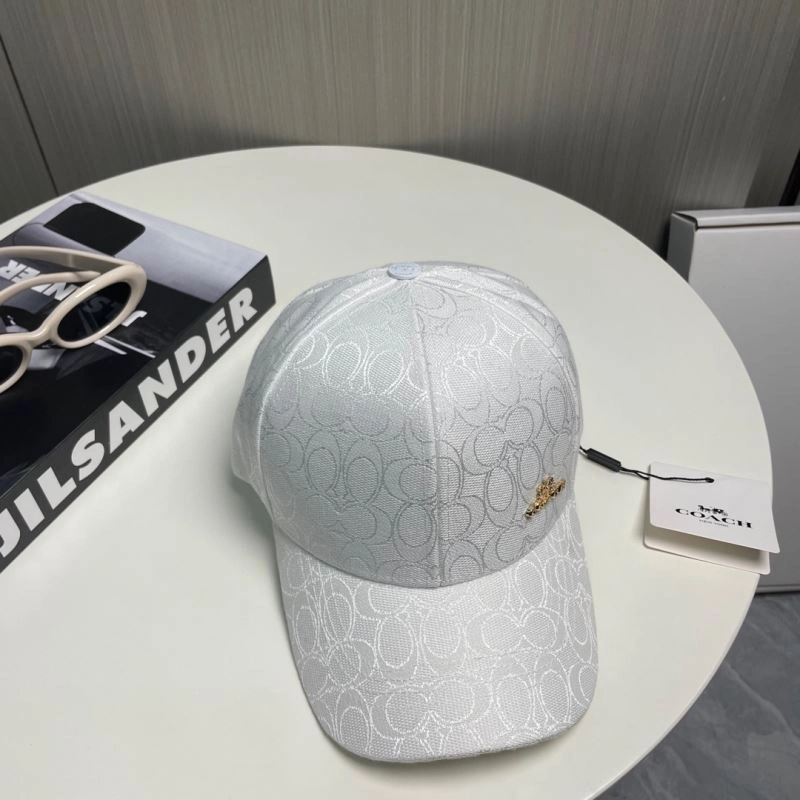 1:1 copy Coach Caps