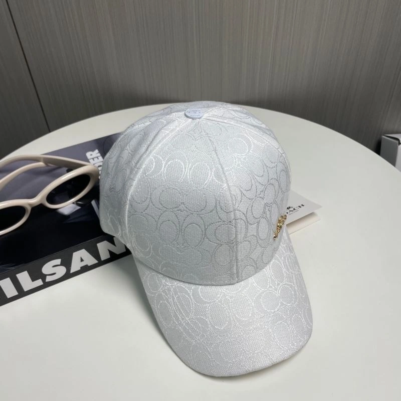 1:1 copy Coach Caps