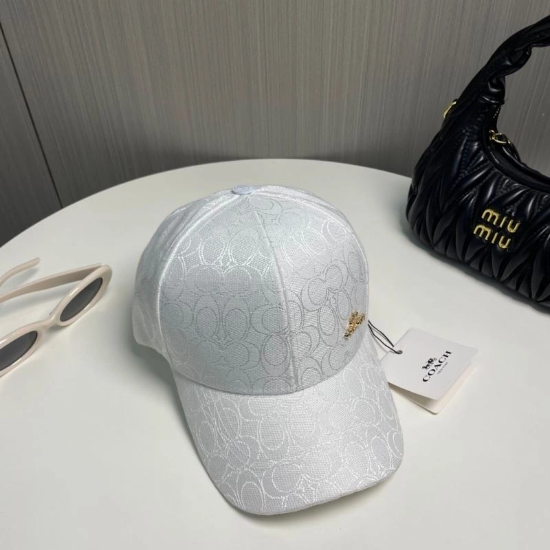 1:1 copy Coach Caps