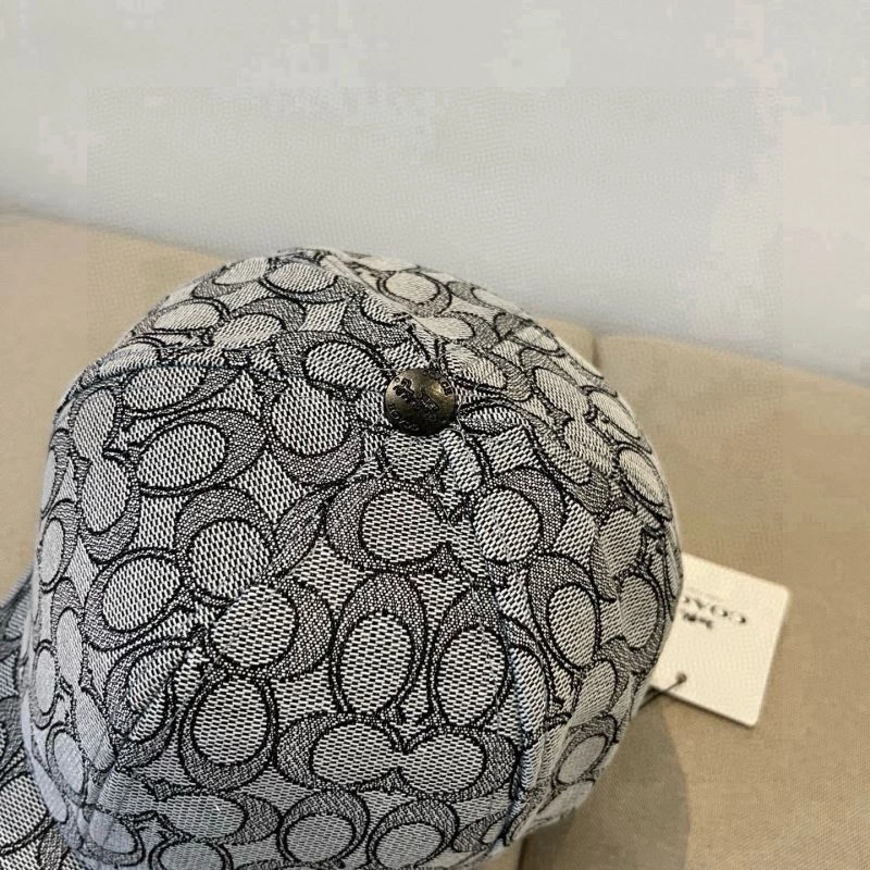 1:1 copy Coach Caps