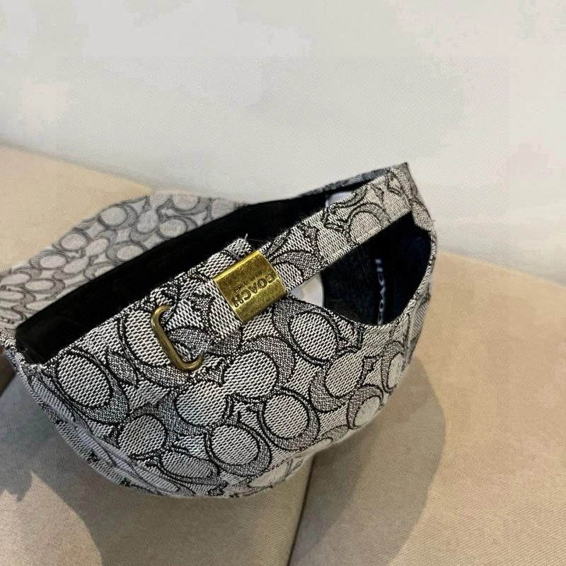 1:1 copy Coach Caps