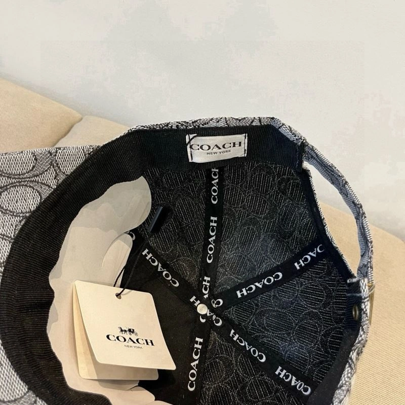 1:1 copy Coach Caps