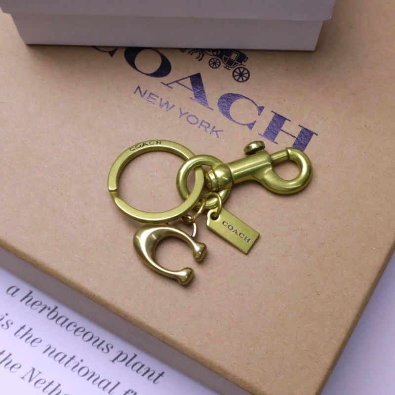 Budget-friendly Coach Keychains
