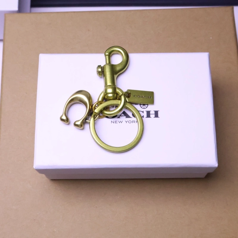 Budget-friendly Coach Keychains