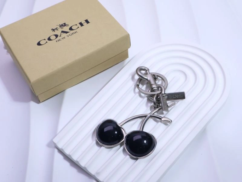 Coach Keychains