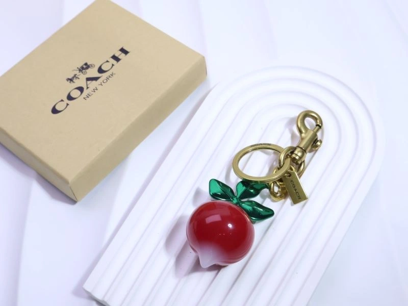 Coach Keychains