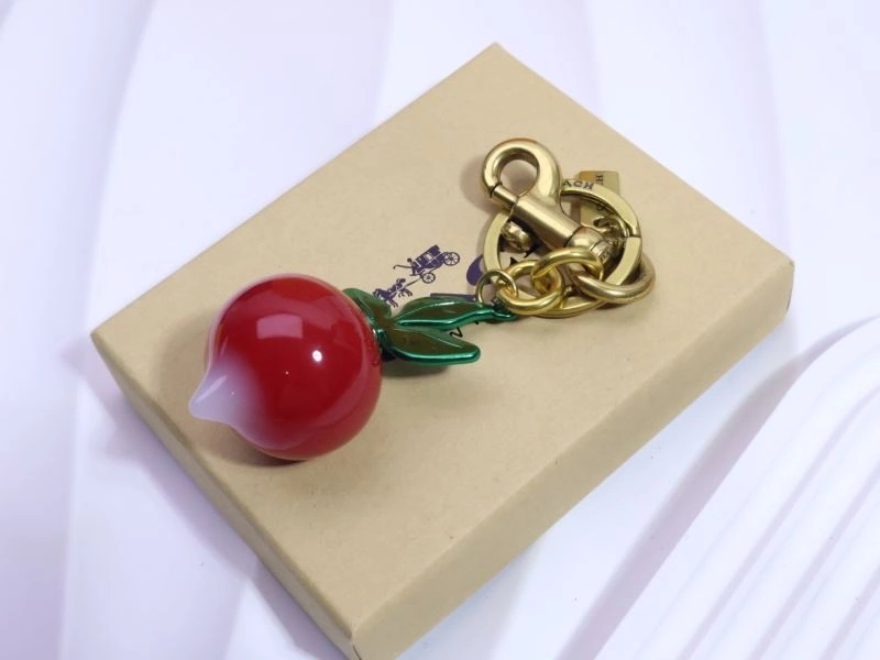 Exact replica Coach Keychains