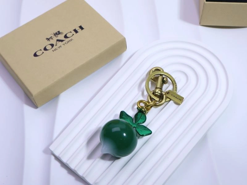 Coach Keychains