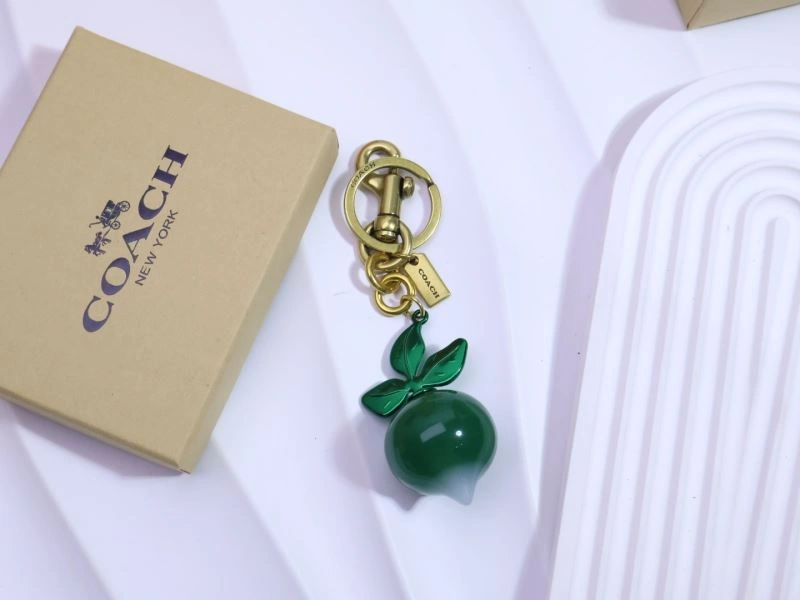 High fidelity Coach Keychains