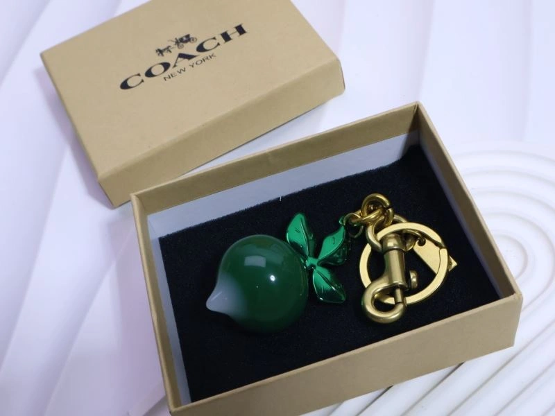 High fidelity Coach Keychains