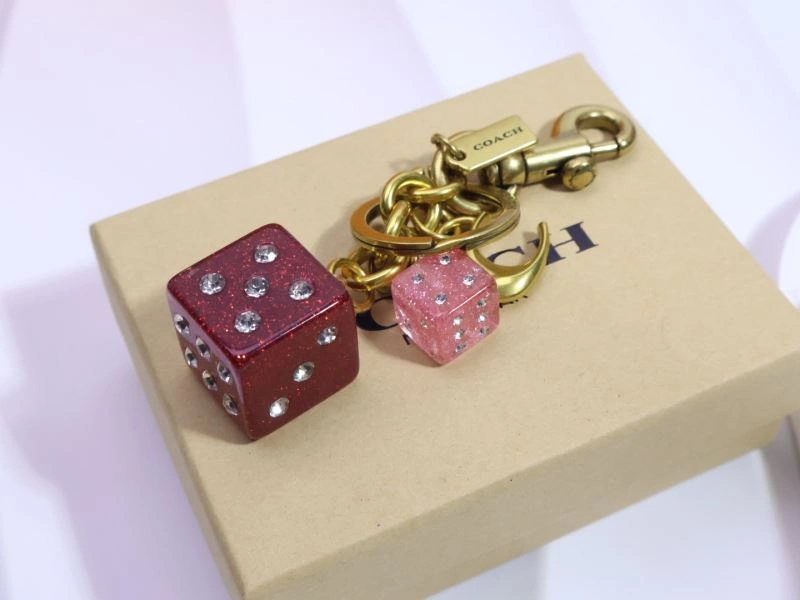 Low-cost Coach Keychains