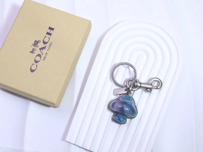 High fidelity Coach Keychains