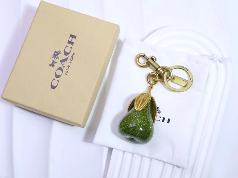 Affordable Coach Keychains