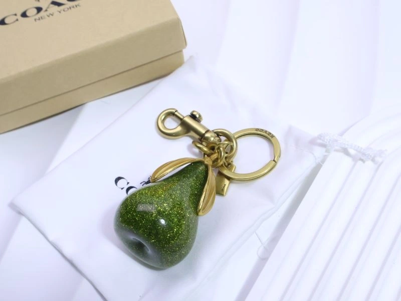 Affordable Coach Keychains
