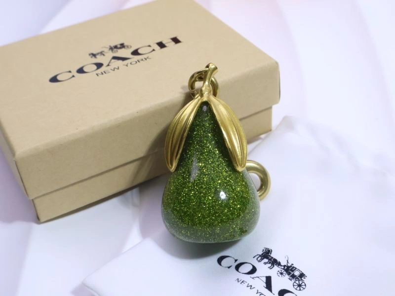 Affordable Coach Keychains
