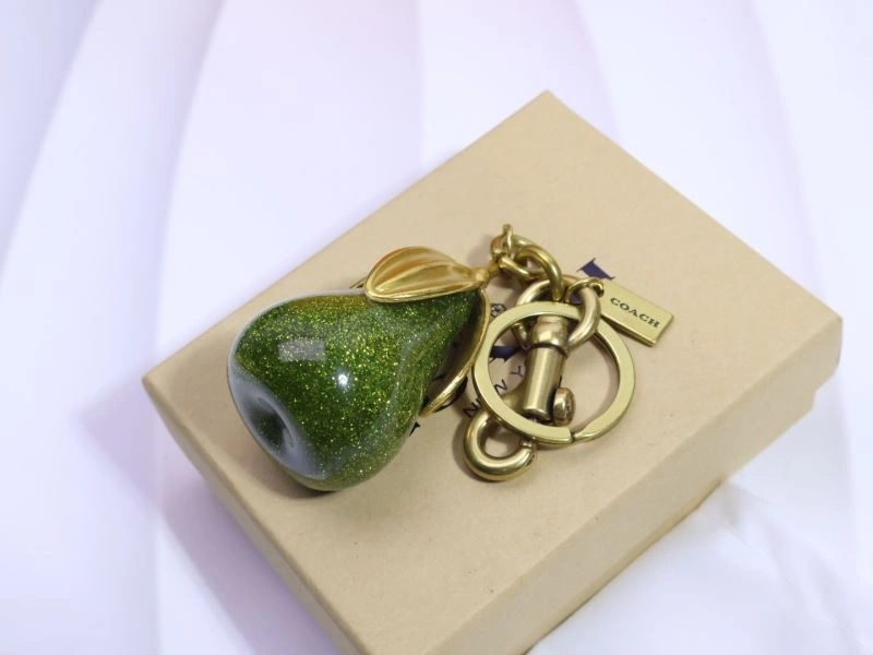 Affordable Coach Keychains