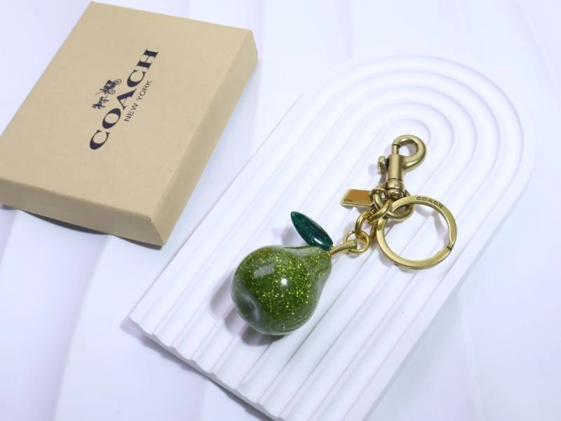 Coach Keychains