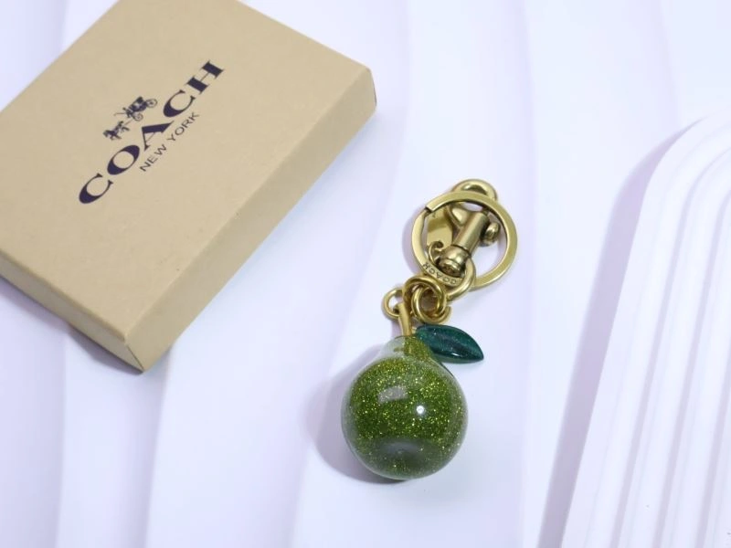 Perfect replica Coach Keychains