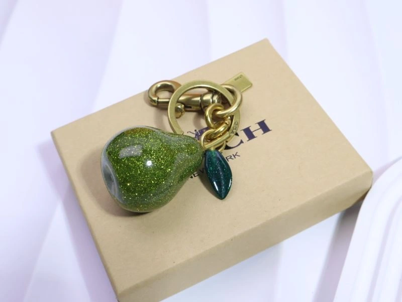 Perfect replica Coach Keychains