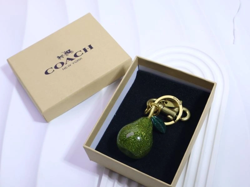 Perfect replica Coach Keychains