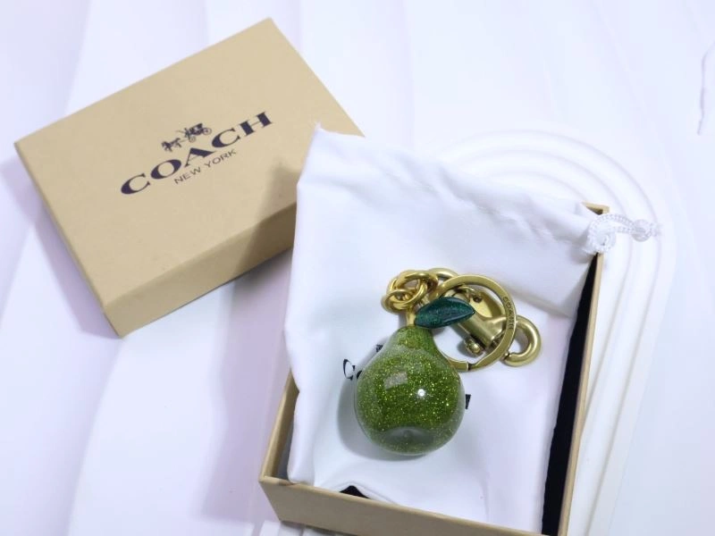 Perfect replica Coach Keychains