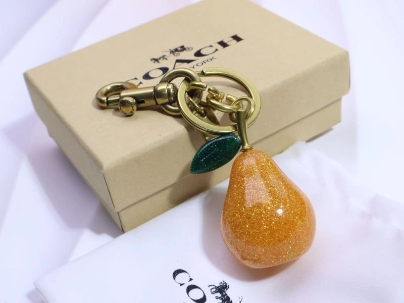 Coach Keychains