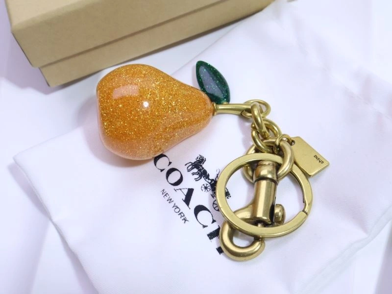 OEM Coach Keychains