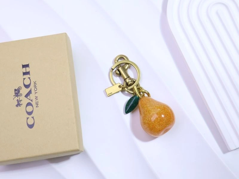 OEM Coach Keychains