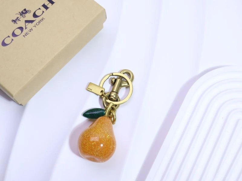 OEM Coach Keychains