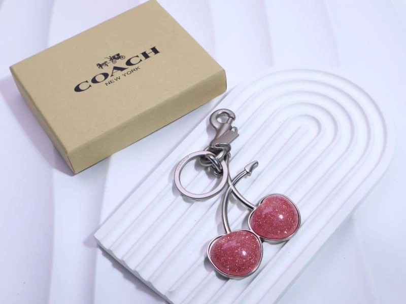 1:1 copy Coach Keychains