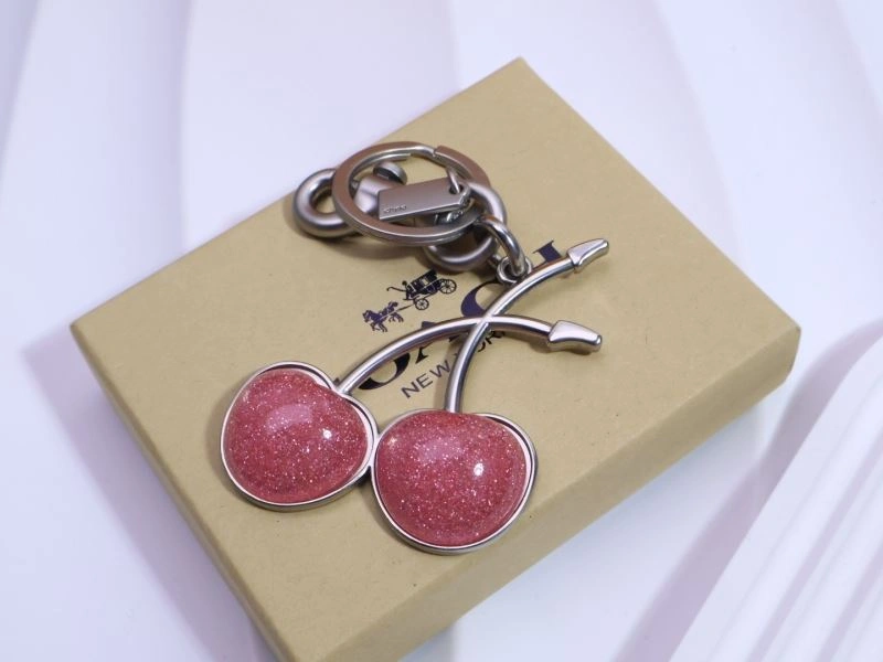 1:1 copy Coach Keychains