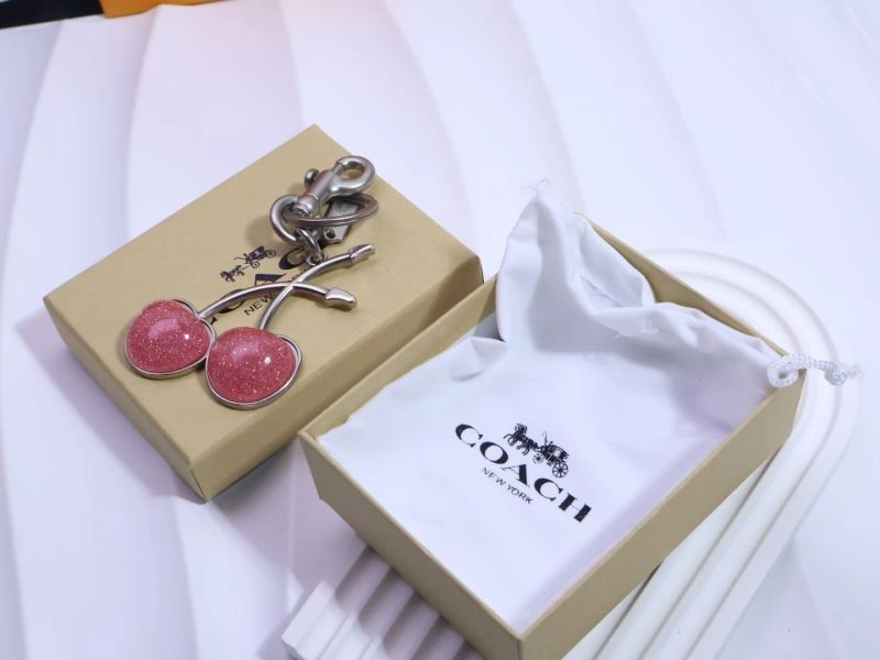 1:1 copy Coach Keychains
