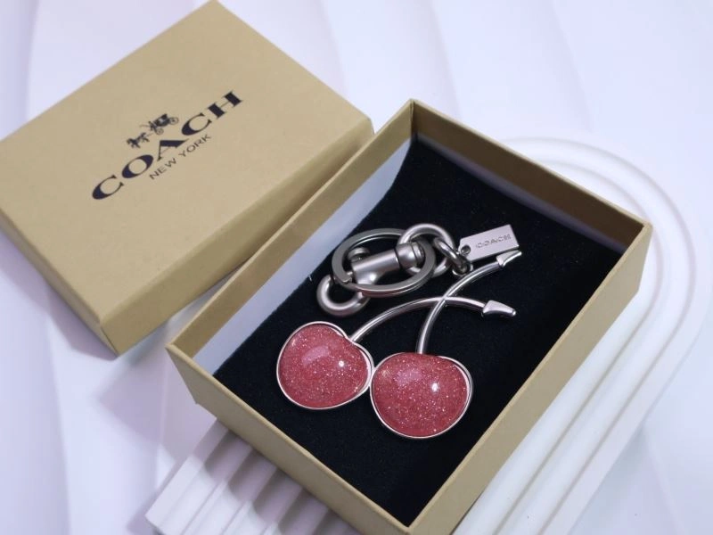 1:1 copy Coach Keychains
