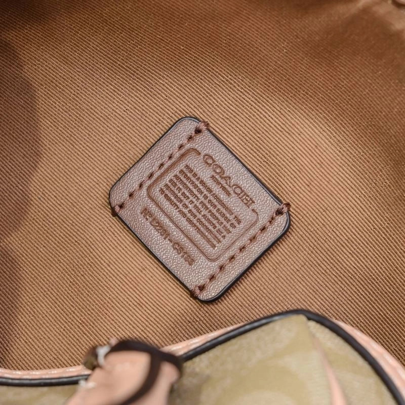 Indistinguishable Coach Pillow Bags