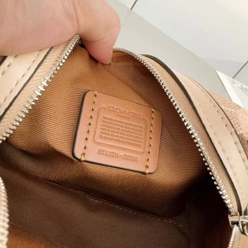 Top mirror Coach Pillow Bags