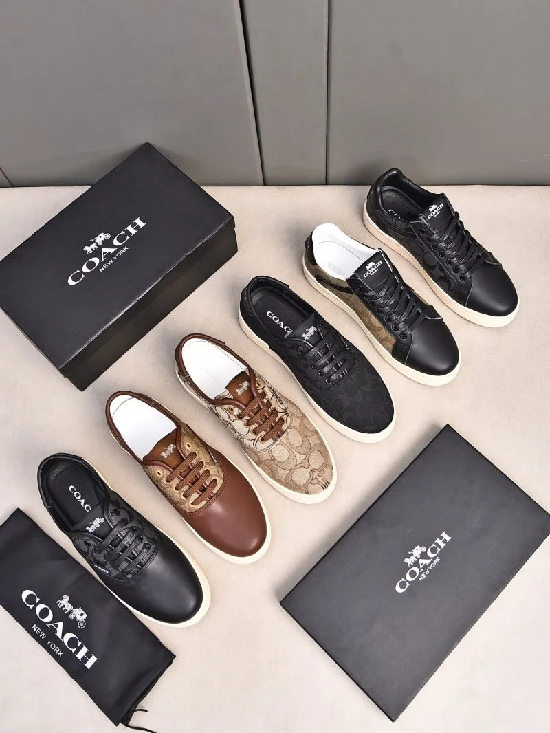 Accurate model Coach Shoes