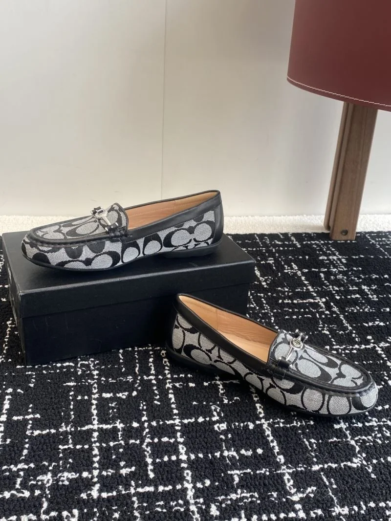 1:1 copy Coach Shoes