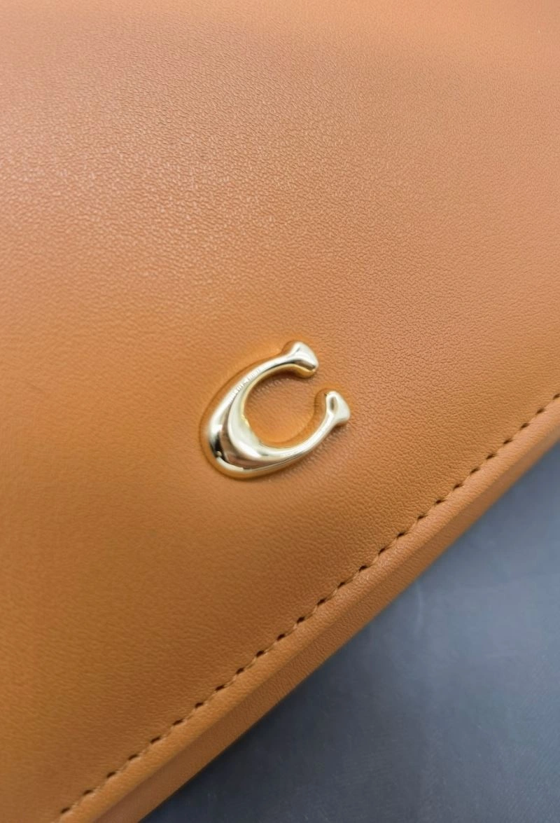 Top mirror Coach Wallets Purse