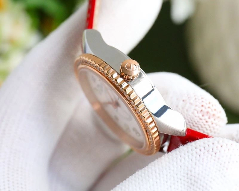 Mirror quality DIOR Watches