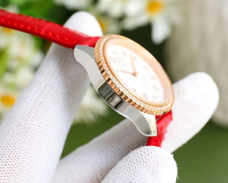 Mirror quality DIOR Watches