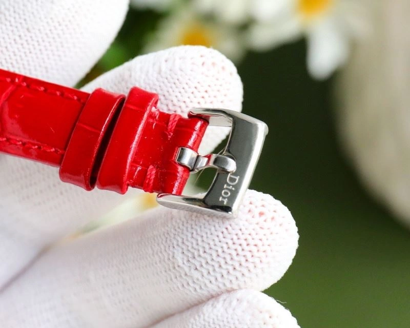 Mirror quality DIOR Watches