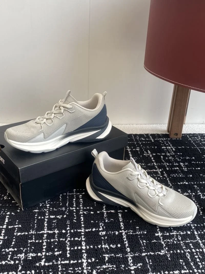 Low-cost Descente Shoes