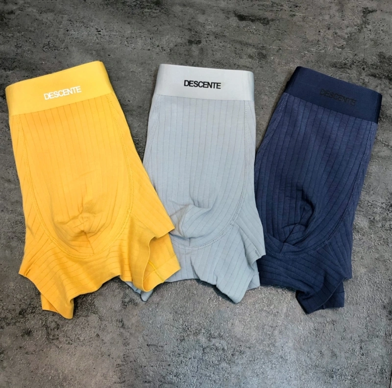 High fidelity Descente Underwear