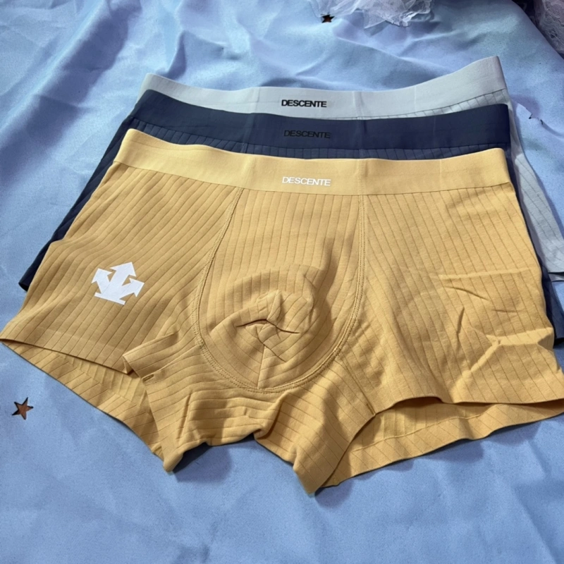 Descente Underwear