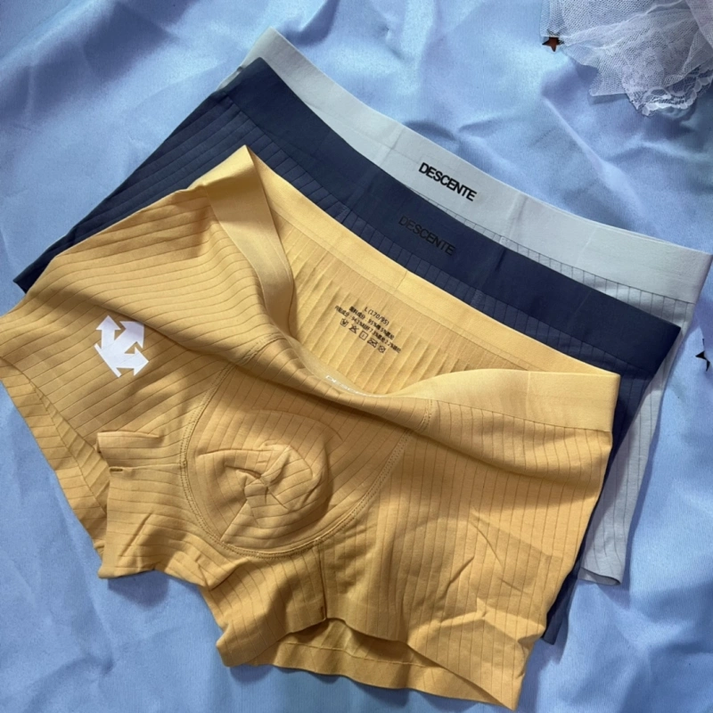 Mirror quality Descente Underwear