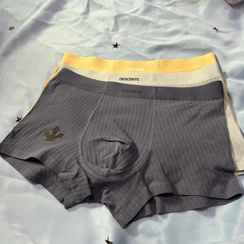 Mirror quality Descente Underwear