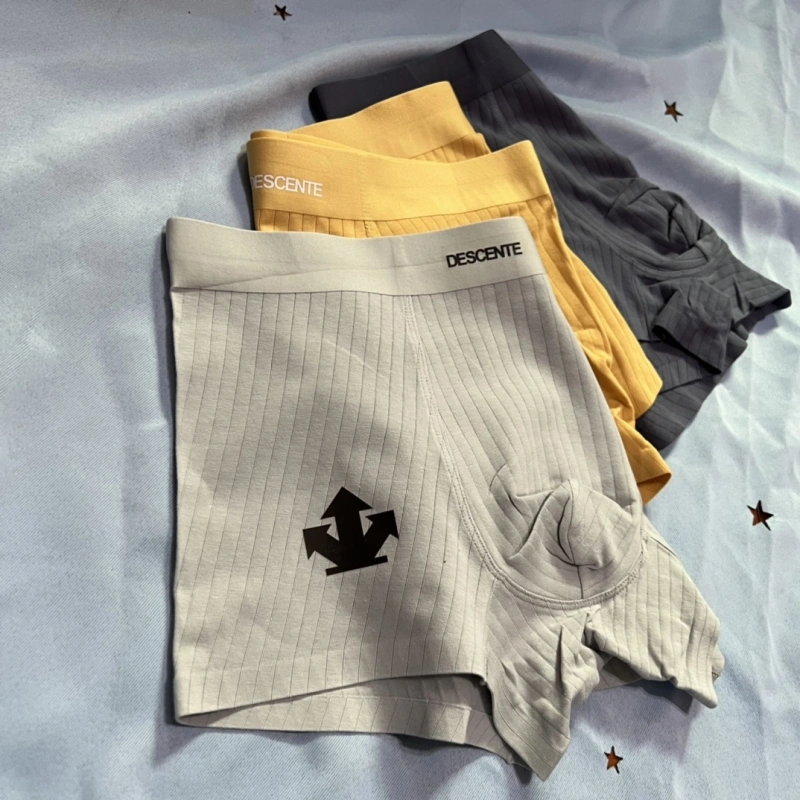 Mirror quality Descente Underwear
