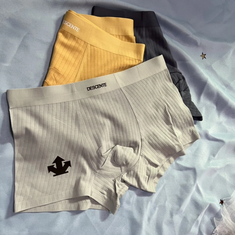 Mirror quality Descente Underwear